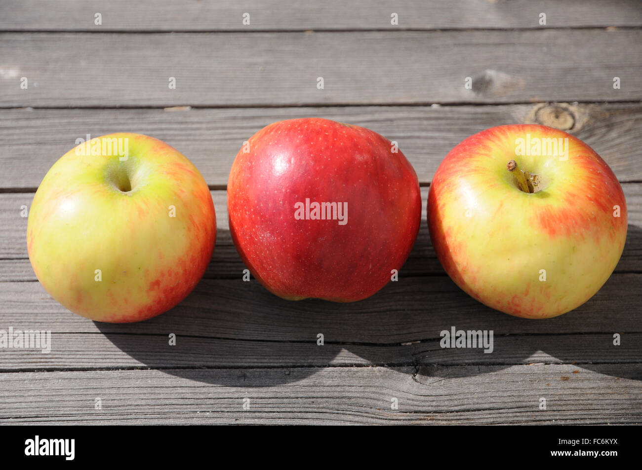 Apple sort hi-res stock photography and images - Alamy
