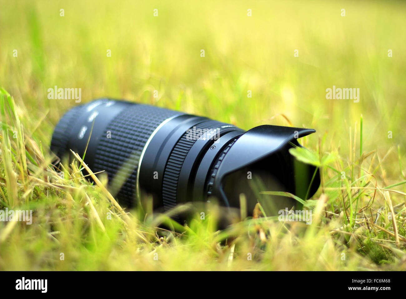 Photographic telephoto lens Stock Photo - Alamy