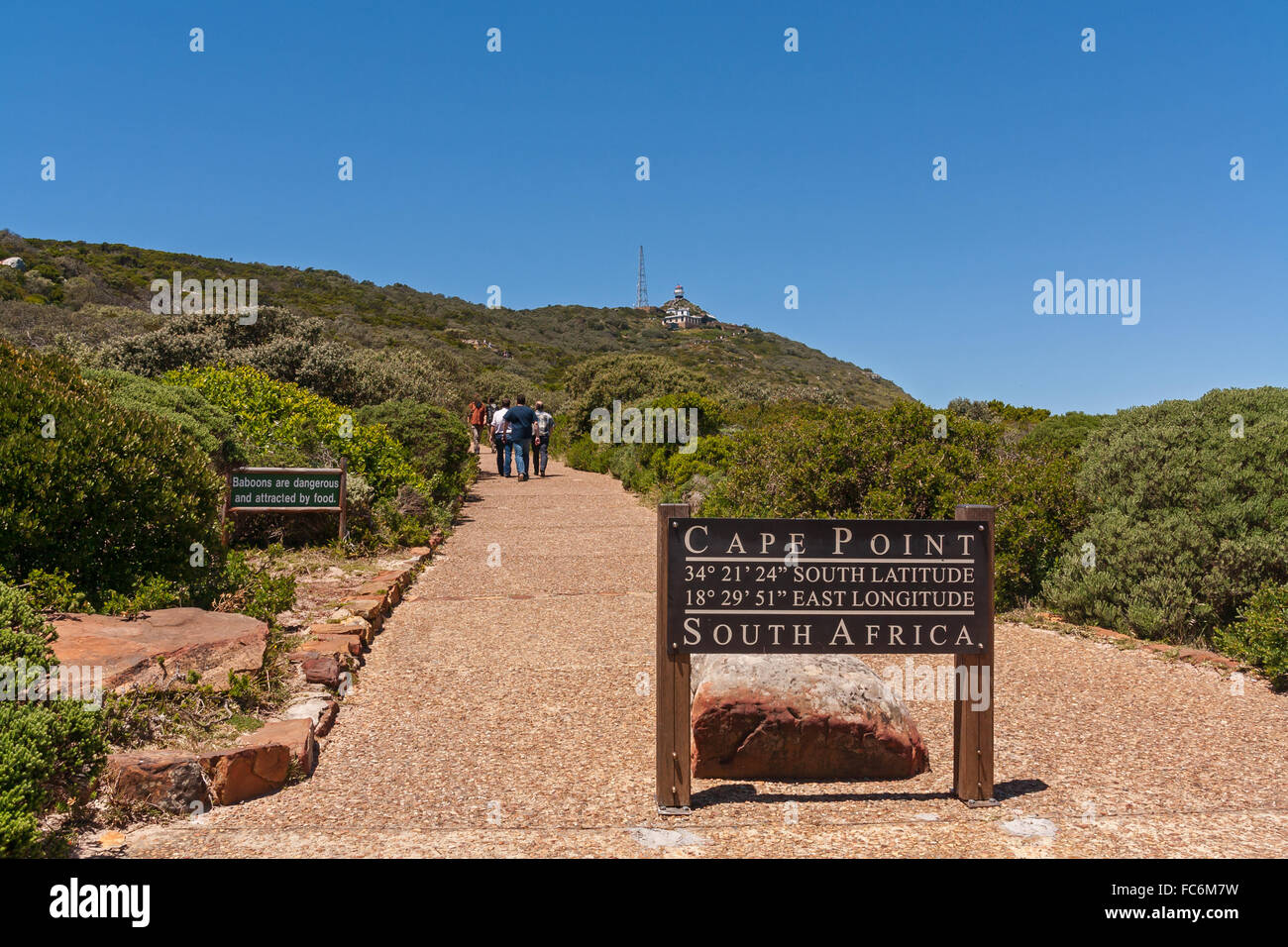 Cape point pavian hi-res stock photography and images - Alamy