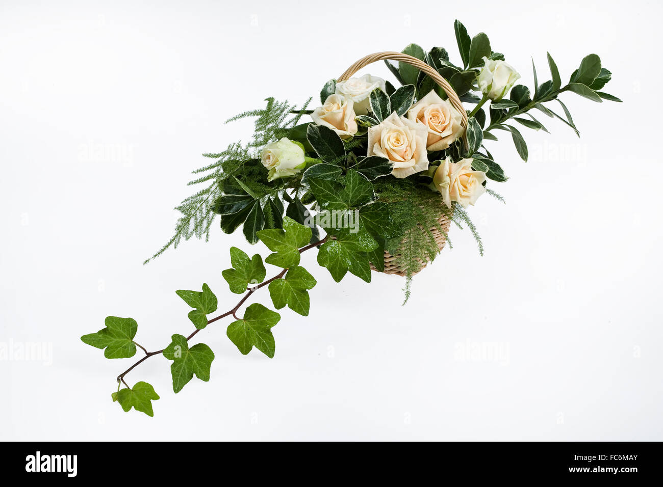 Bou symbol hi-res stock photography and images - Alamy