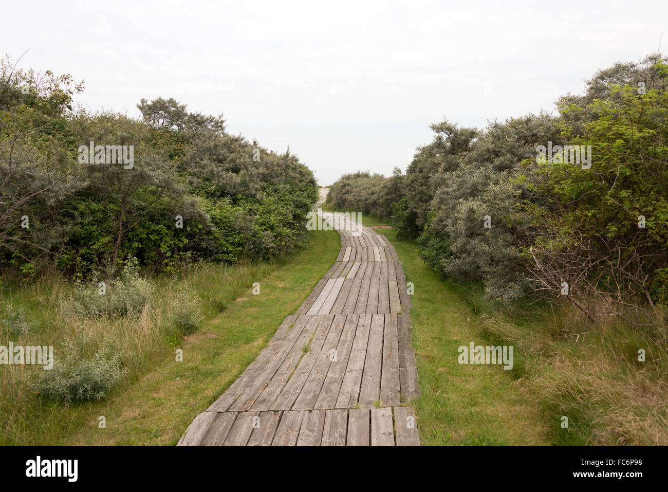 Plank walk walkway hi-res stock photography and images - Alamy
