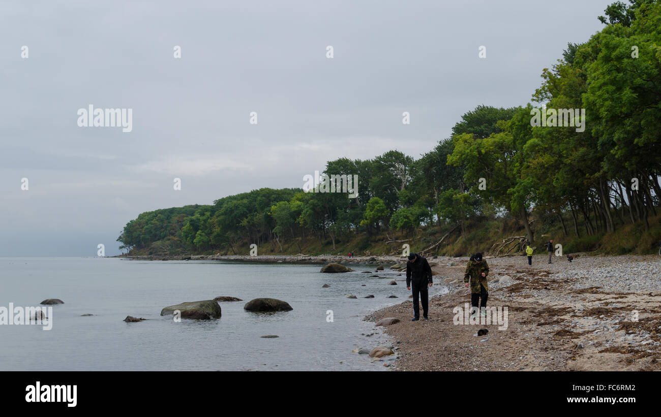 Beach on Fehmarn Stock Photo - Alamy