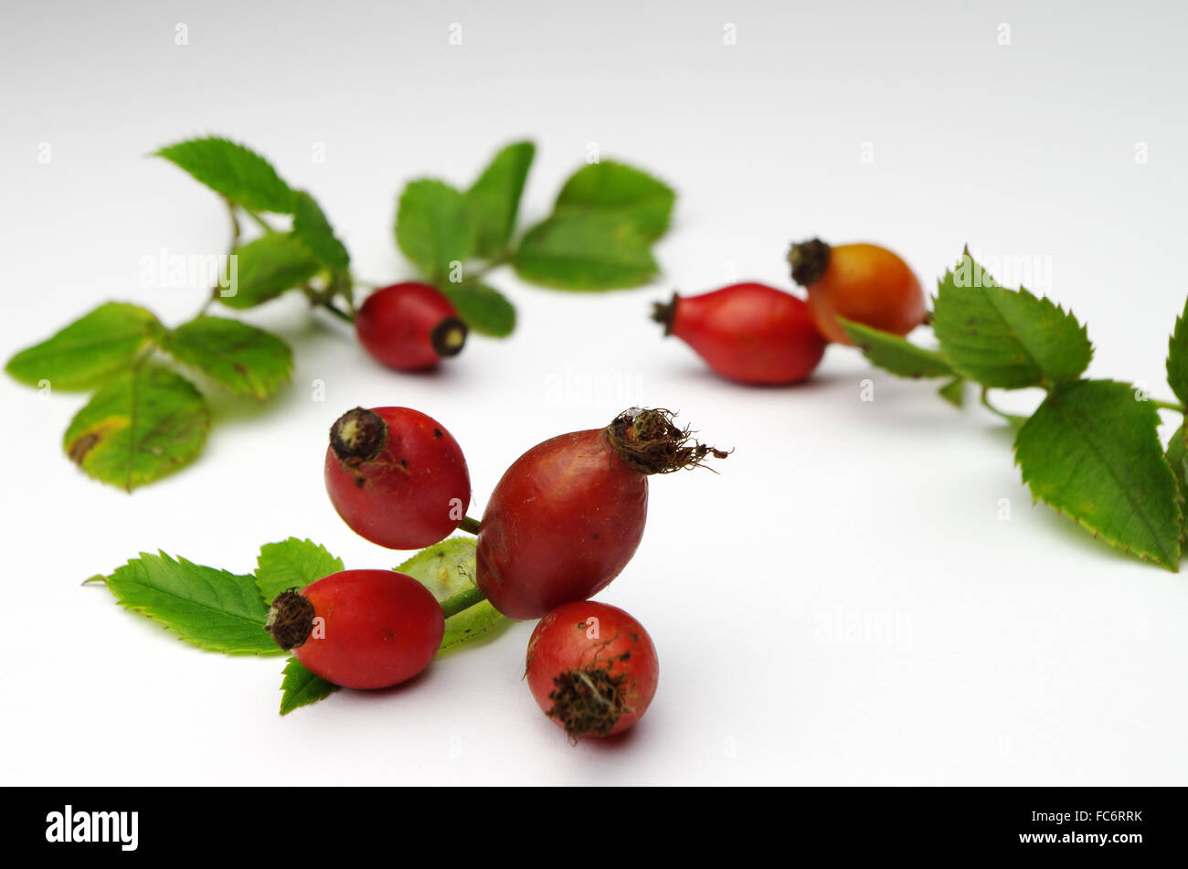 haws Stock Photo - Alamy