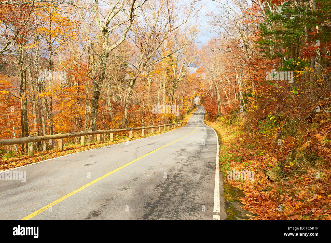 Autumn scene with road Stock Photo - Alamy