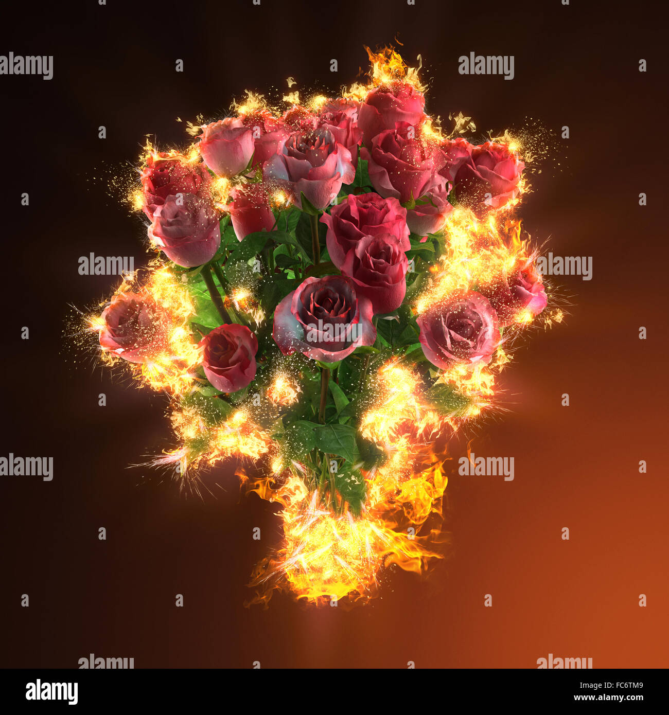 red roses in fire Stock Photo - Alamy