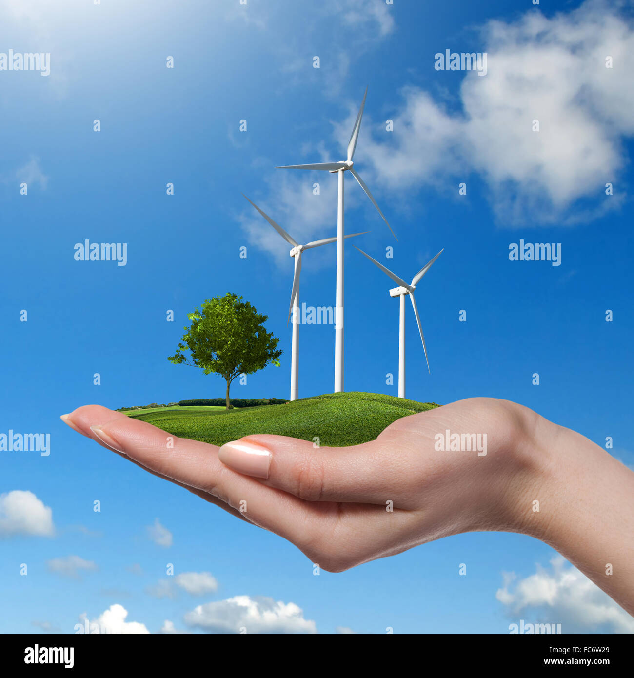 Hand in the wind hi-res stock photography and images - Alamy