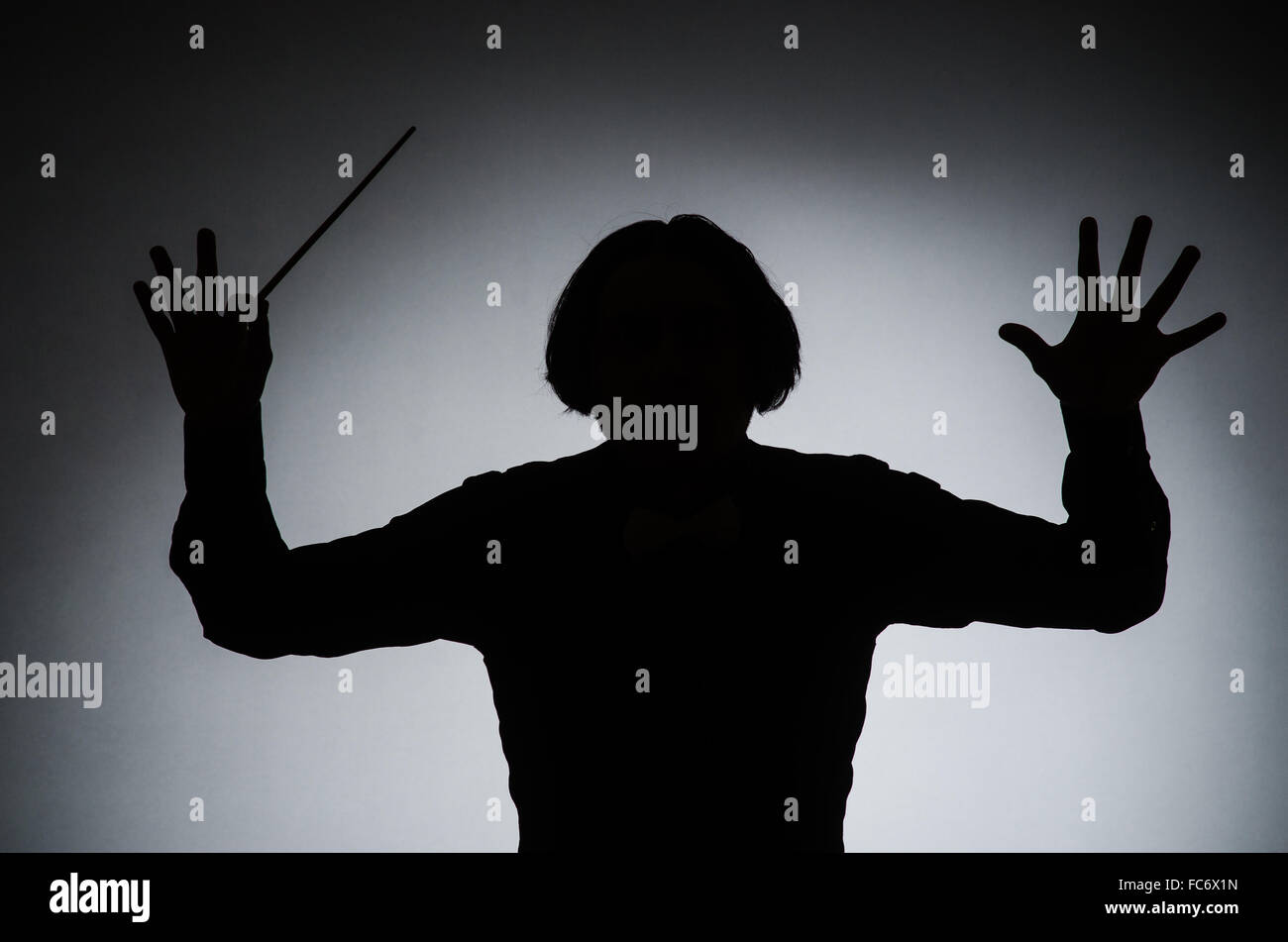 Funny conductor in musical concept Stock Photo - Alamy