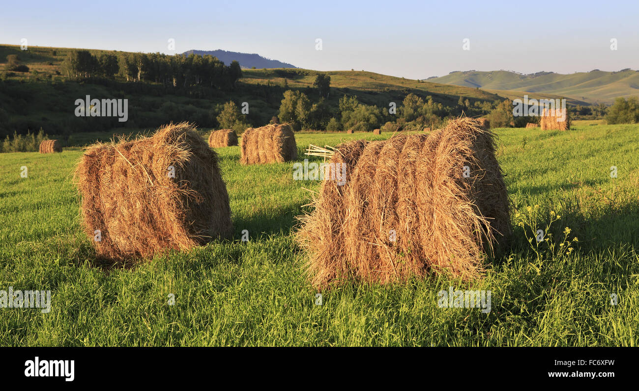 Haystacks in the sun hi-res stock photography and images - Alamy