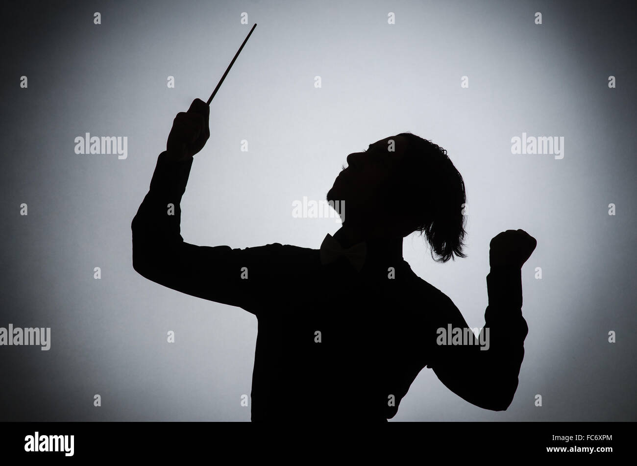 Funny conductor in musical concept Stock Photo - Alamy