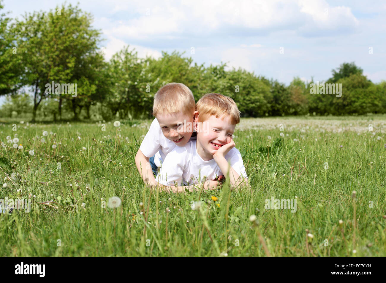 two twin brothers outdoors on the grass Stock Photo - Alamy