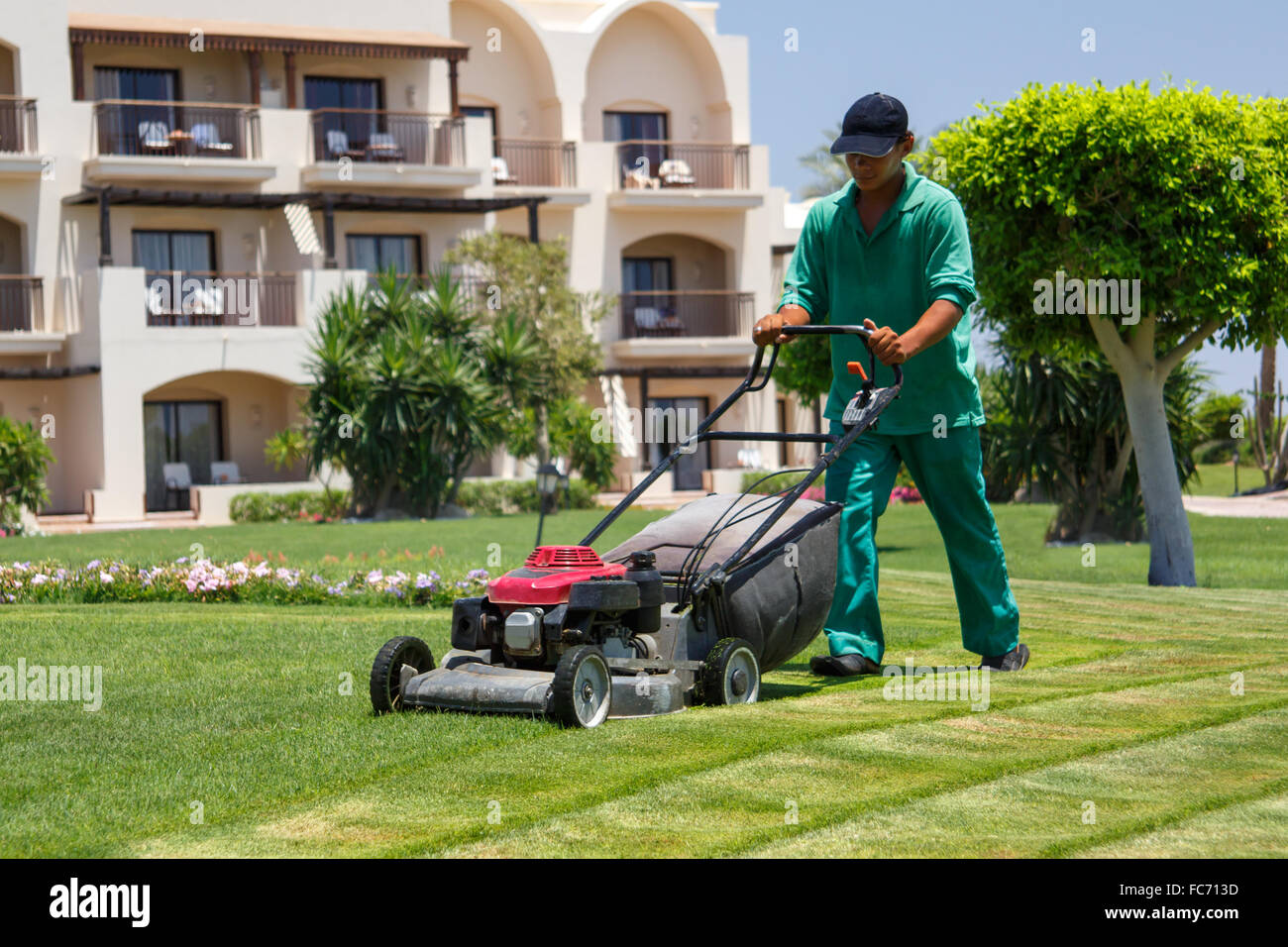 Male gardener cutting grass with lawn mower Stock Photo - Alamy