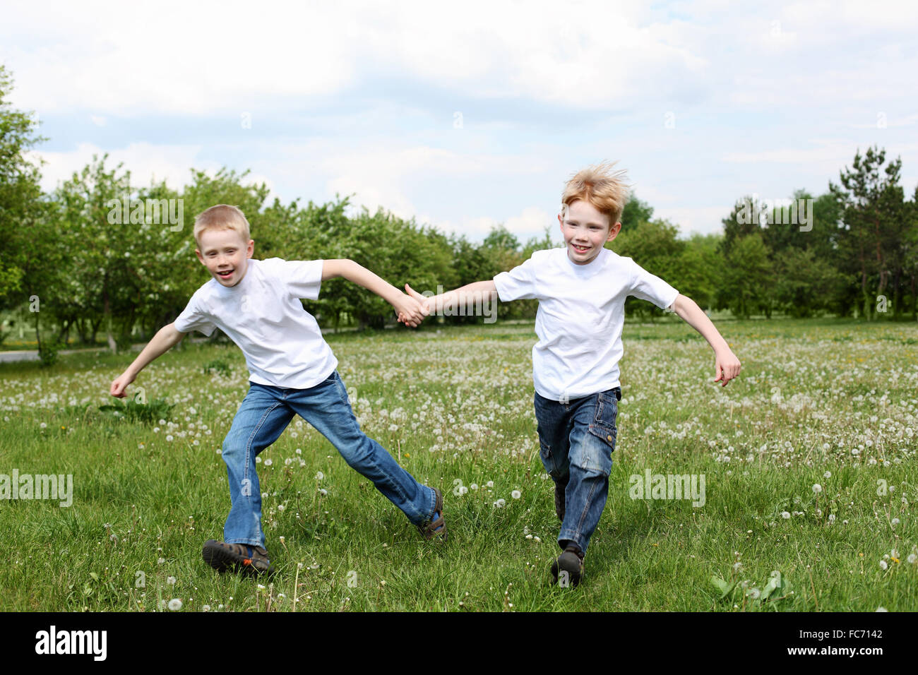 two twin brothers outdoors on the grass Stock Photo - Alamy