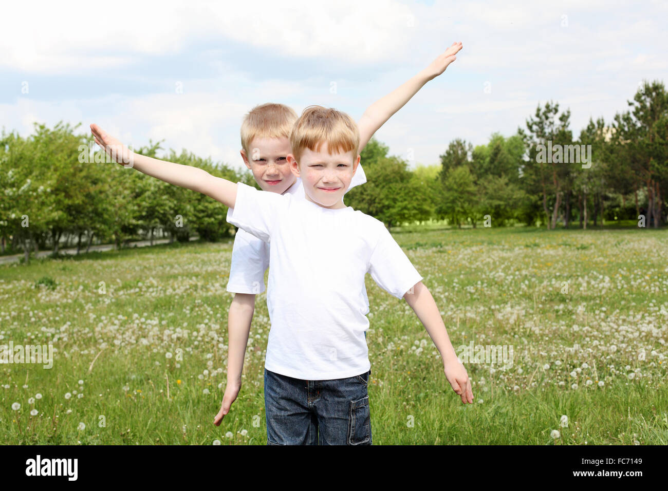 two twin brothers outdoors on the grass Stock Photo - Alamy