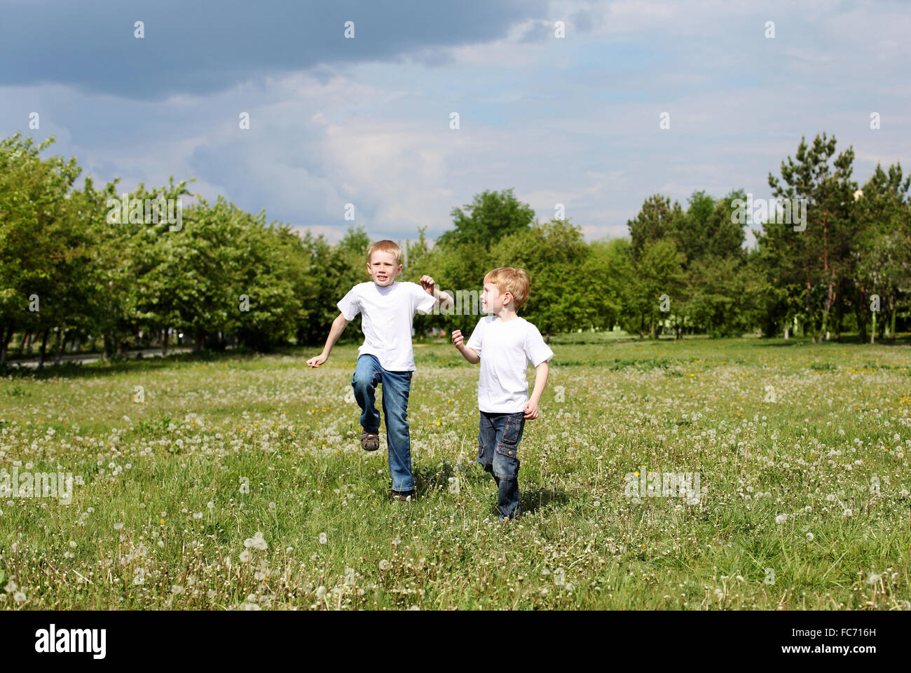 two twin brothers outdoors on the grass Stock Photo - Alamy