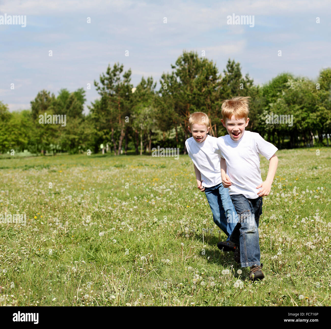 two twin brothers outdoors on the grass Stock Photo - Alamy