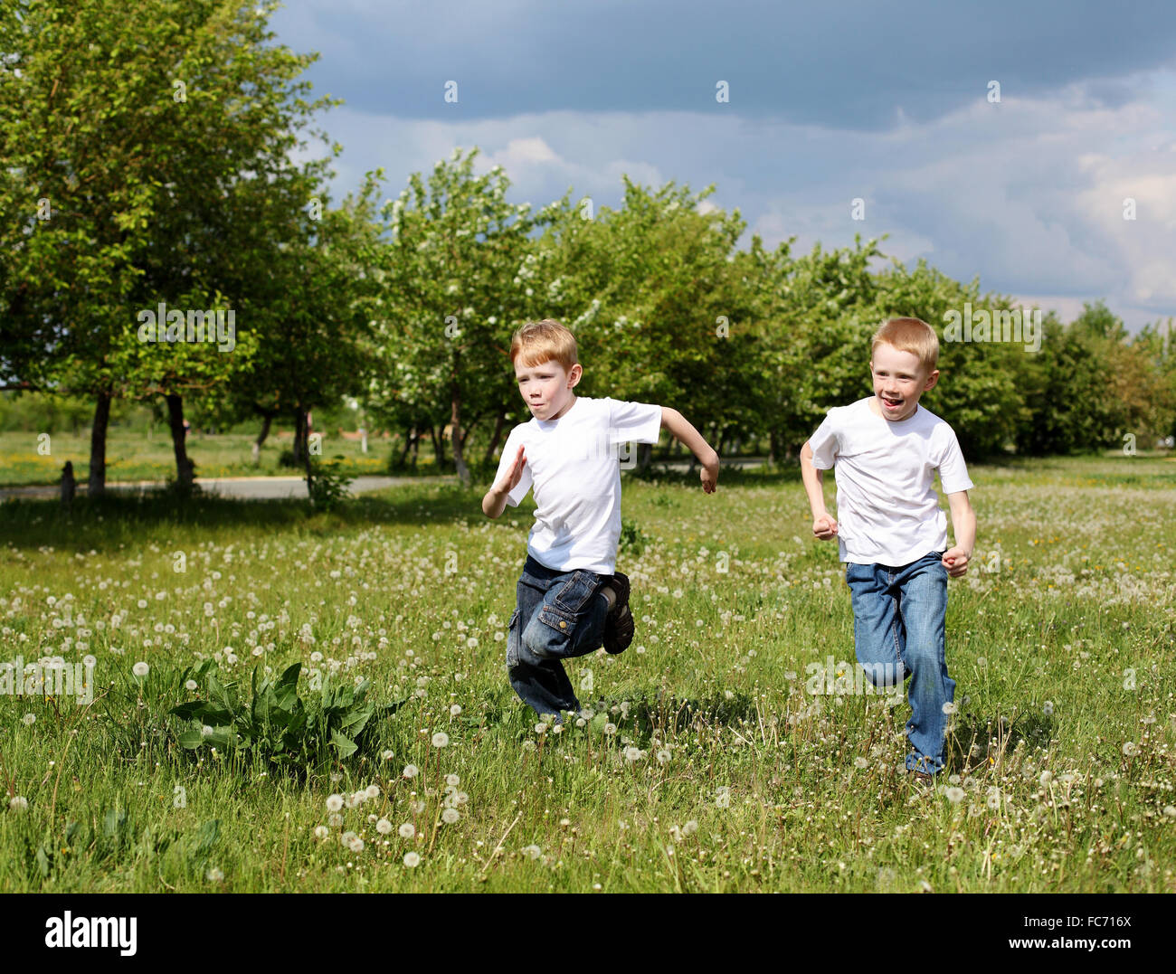 two twin brothers outdoors on the grass Stock Photo - Alamy