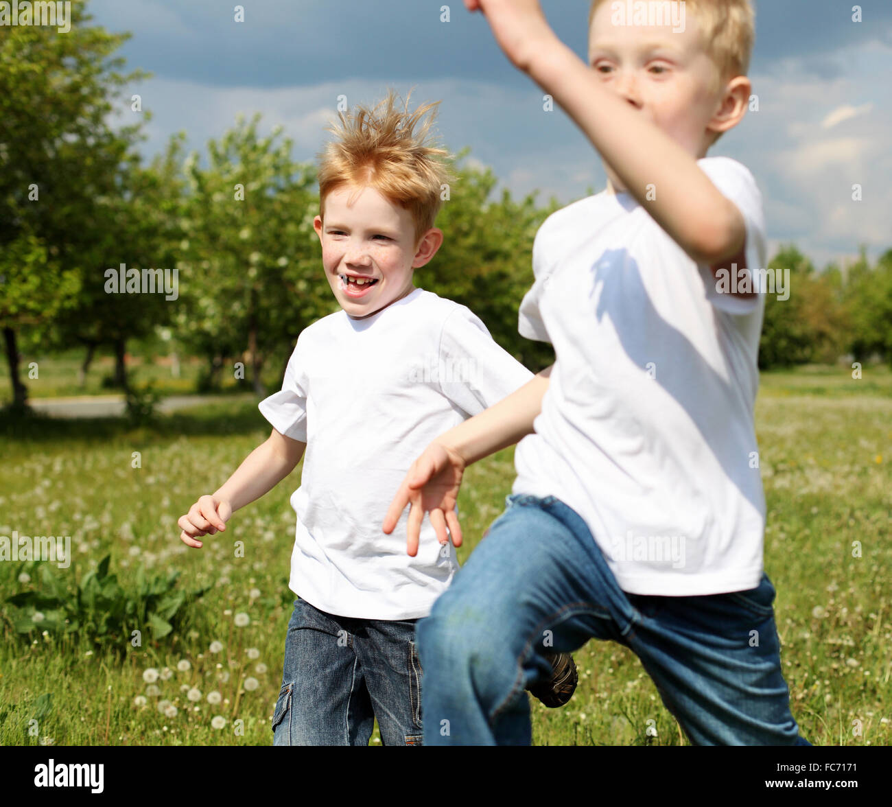 two twin brothers outdoors on the grass Stock Photo - Alamy