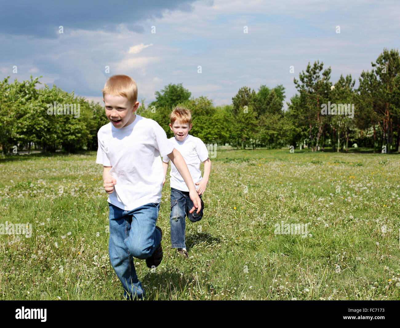 two twin brothers outdoors on the grass Stock Photo - Alamy