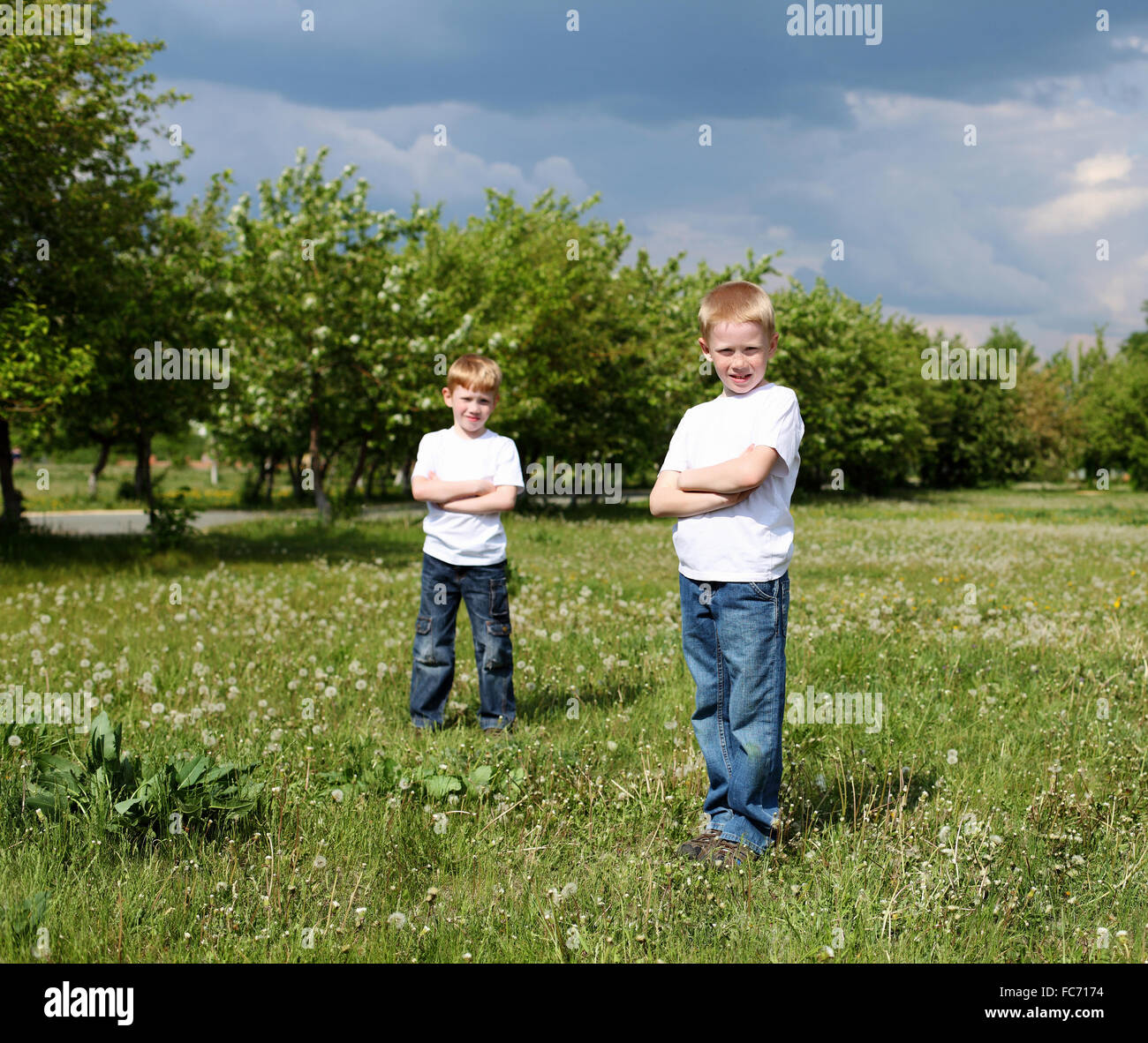 two twin brothers outdoors on the grass Stock Photo - Alamy