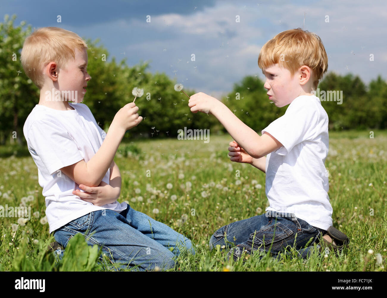 two twin brothers outdoors on the grass Stock Photo - Alamy