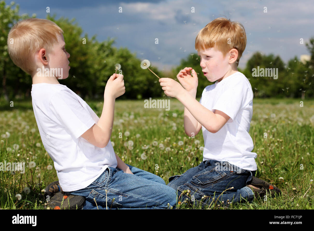 two twin brothers outdoors on the grass Stock Photo - Alamy