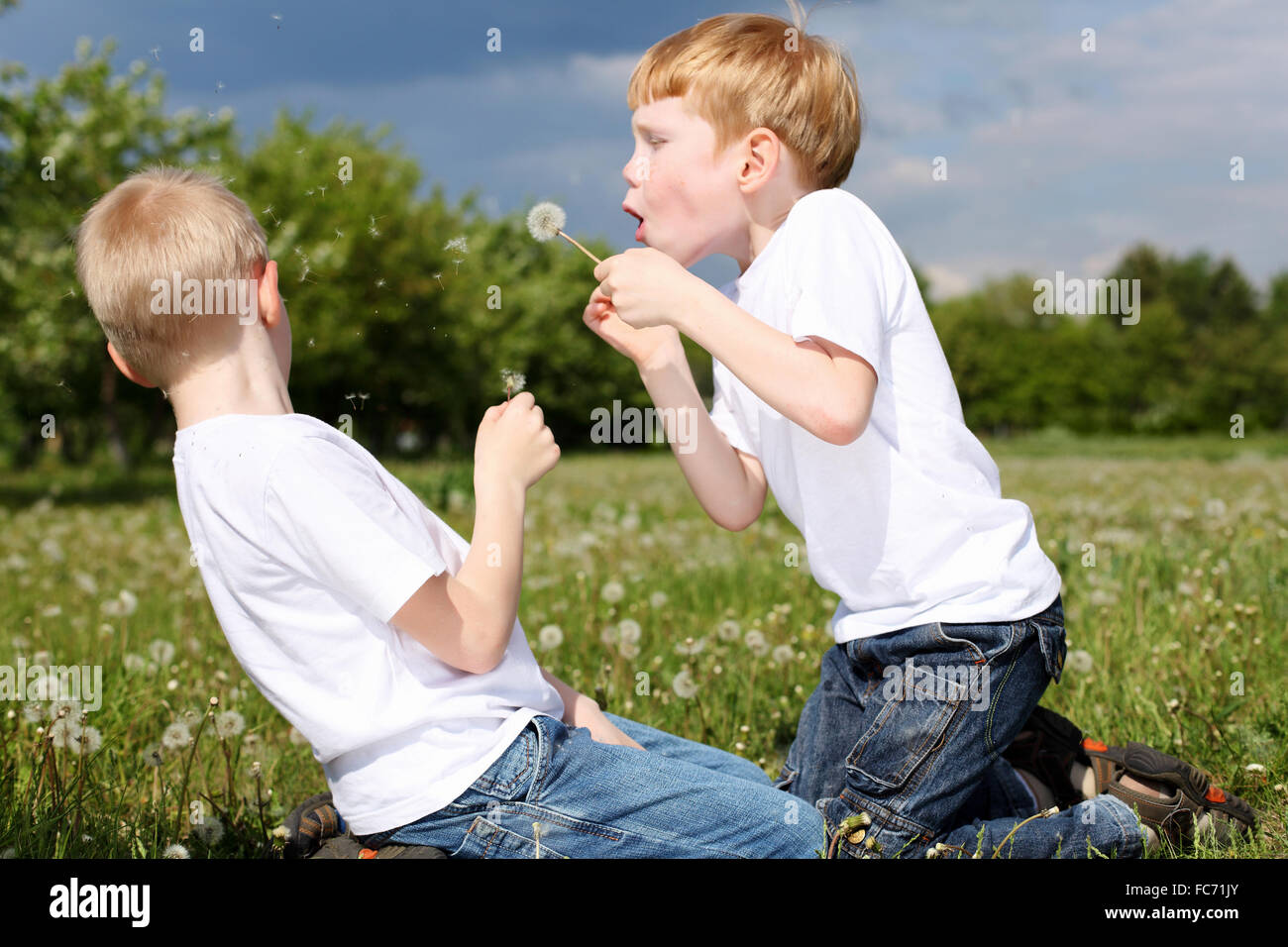 two twin brothers outdoors on the grass Stock Photo - Alamy