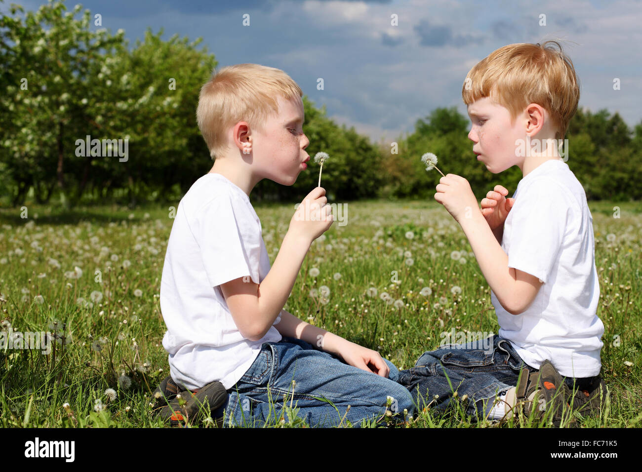 two twin brothers outdoors on the grass Stock Photo - Alamy