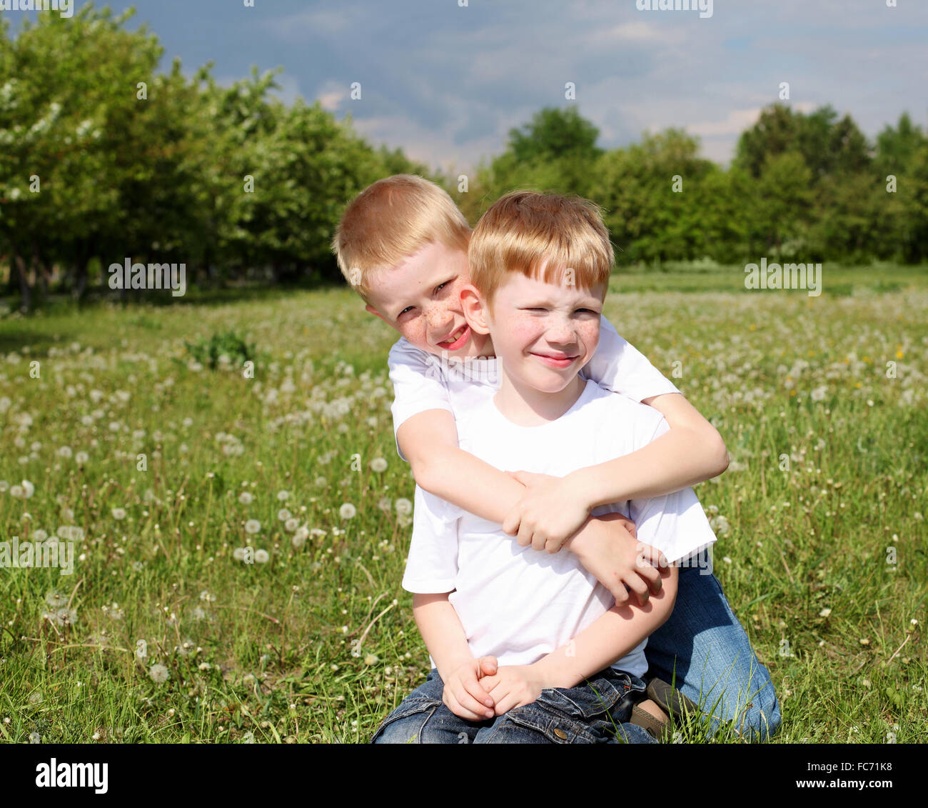 two twin brothers outdoors on the grass Stock Photo - Alamy