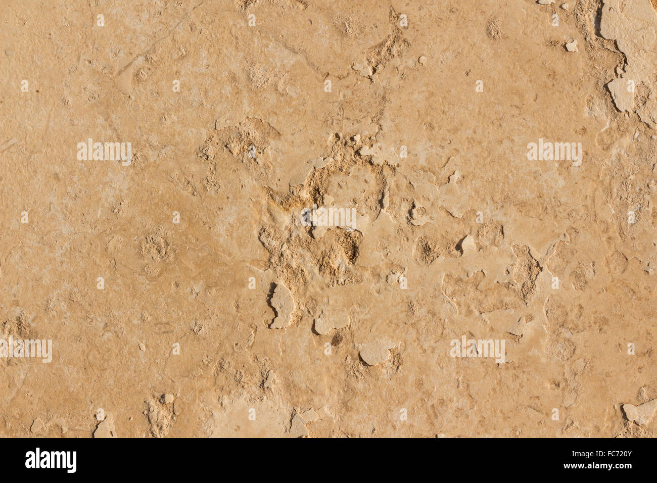 Sample textures hi-res stock photography and images - Alamy