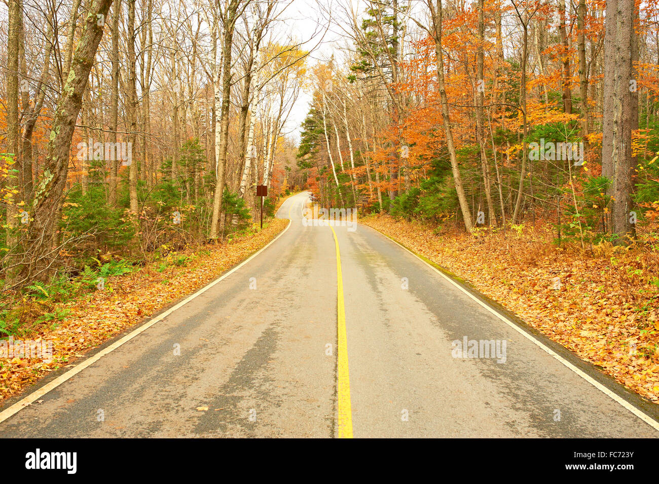 Autumn scene with road Stock Photo - Alamy