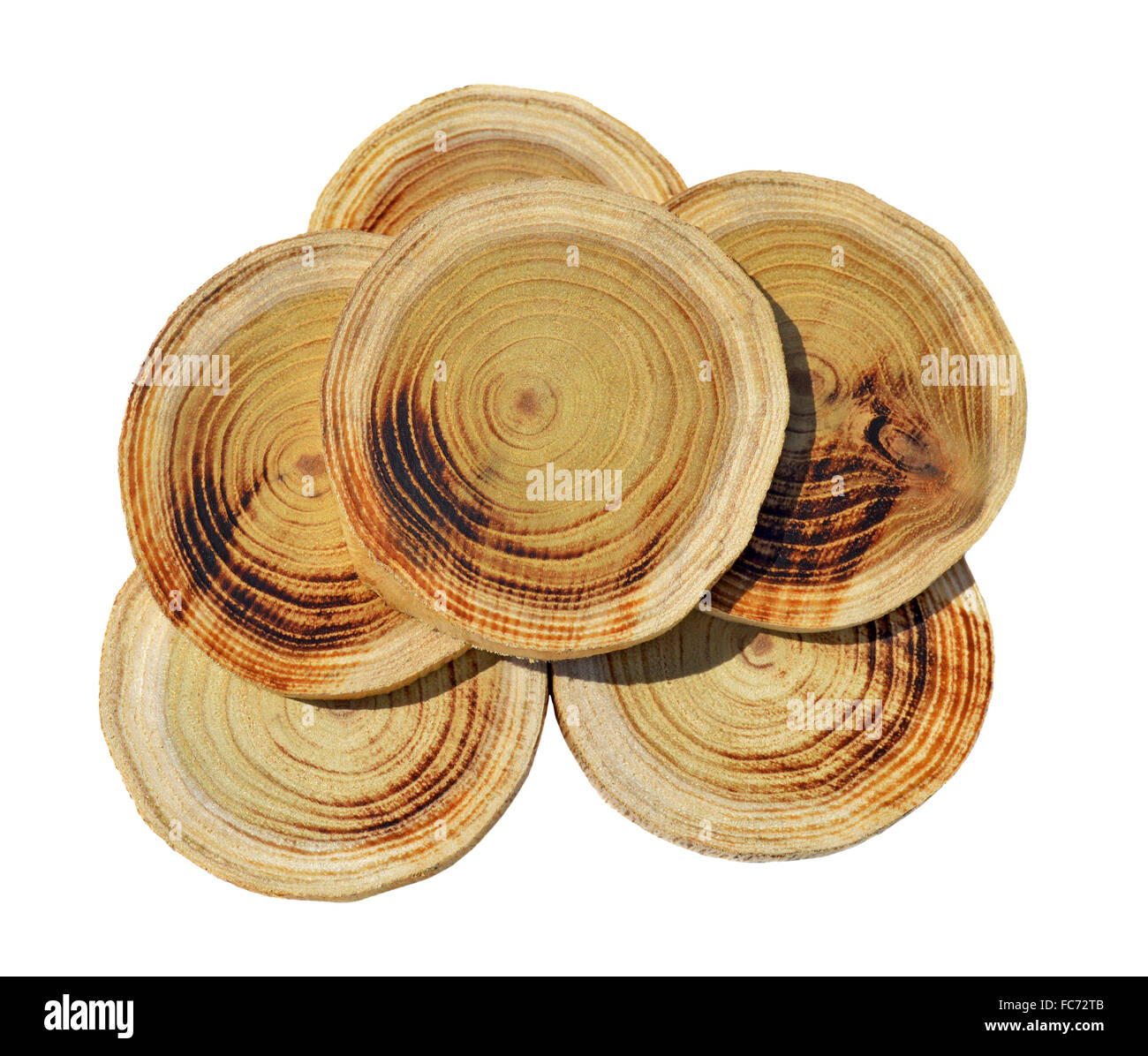 Wooden tree slices Cut Out Stock Images & Pictures - Alamy