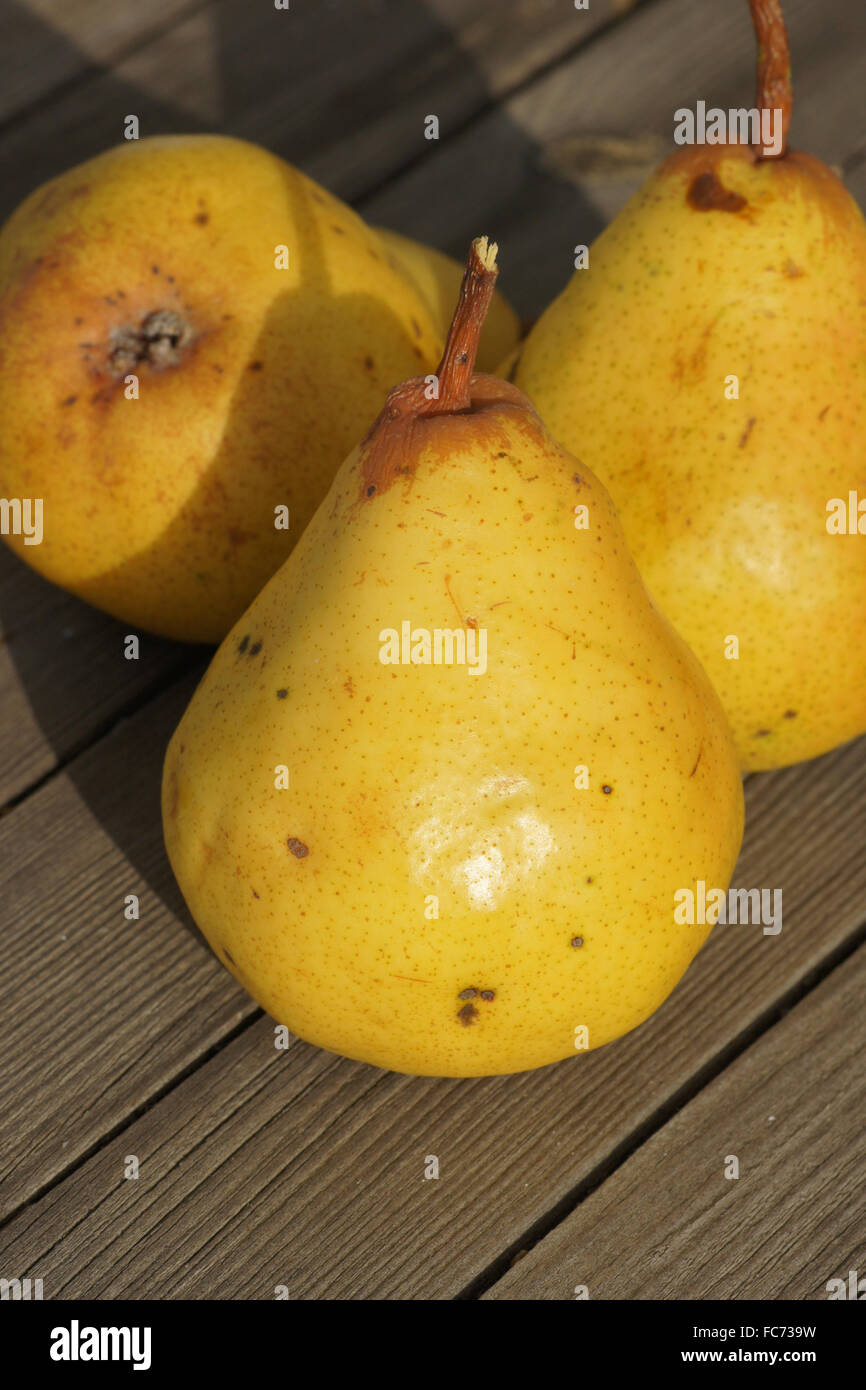 Pear Stock Photo - Alamy
