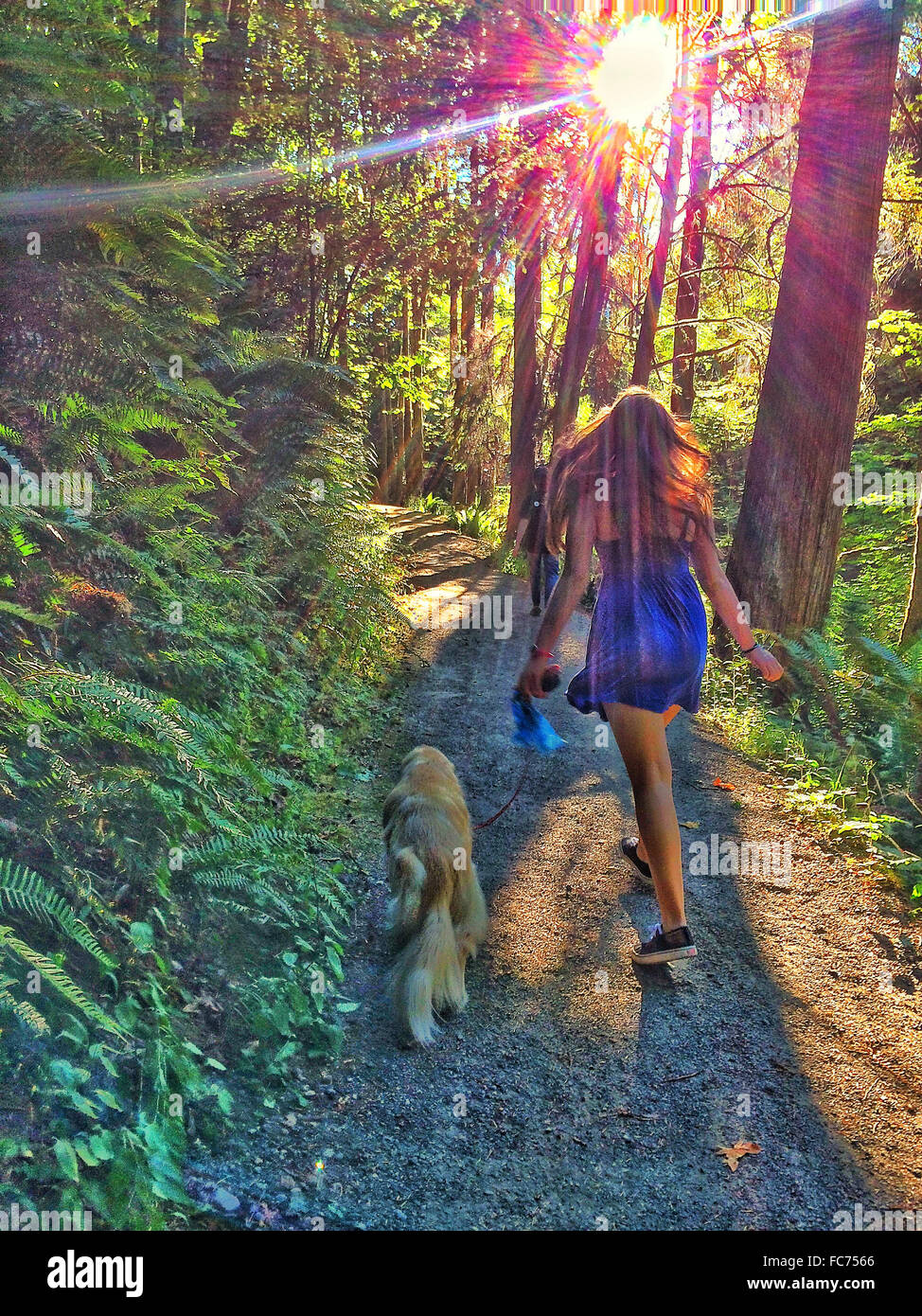 Caucasian teenage girl walking dog in forest Stock Photo - Alamy