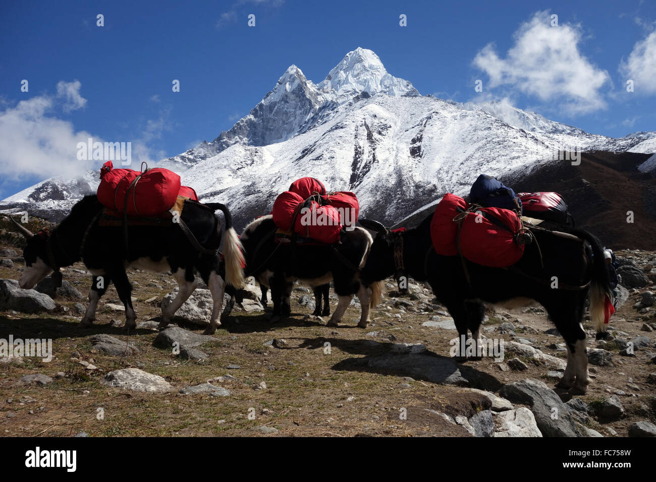Foot of Mount Everest in Nepal Stock Photo - Alamy