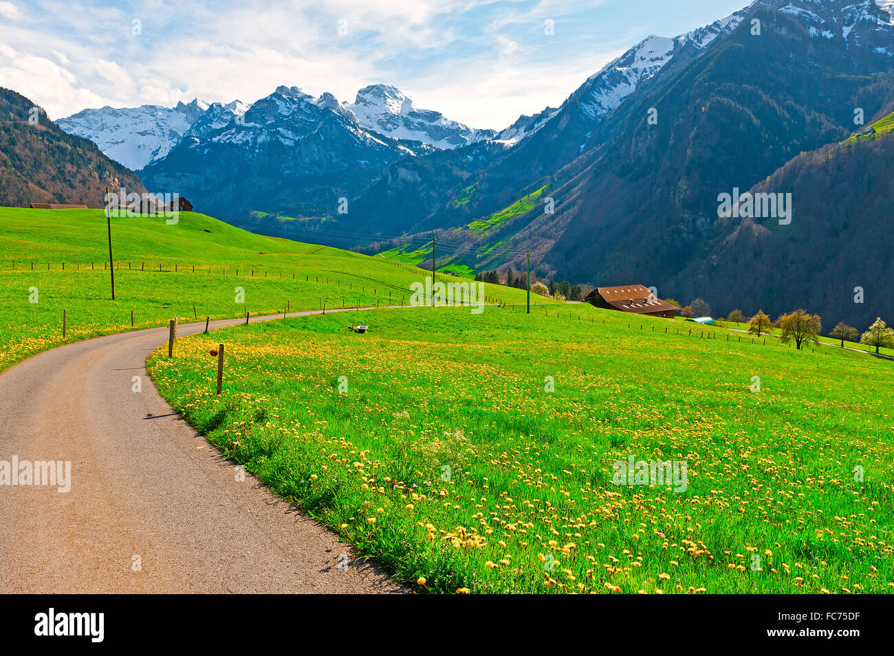 Asphalt path hi-res stock photography and images - Alamy