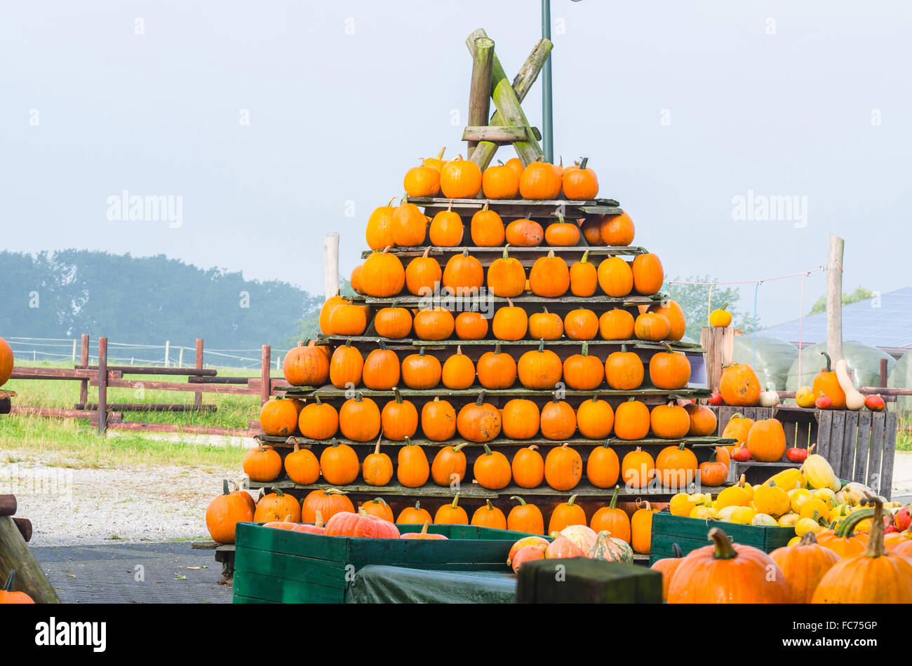 Pyramid of pumpkins hi-res stock photography and images - Alamy