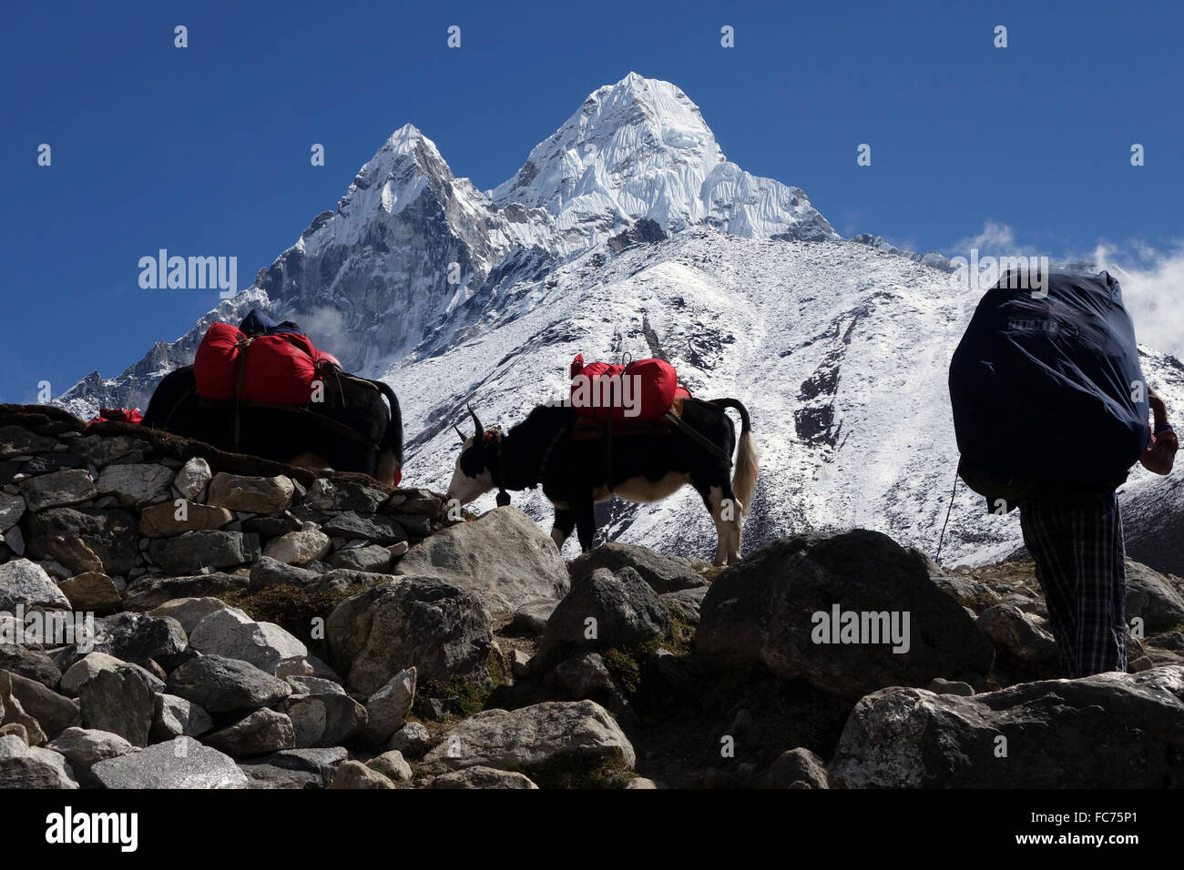 Foot of Mount Everest in Nepal Stock Photo - Alamy