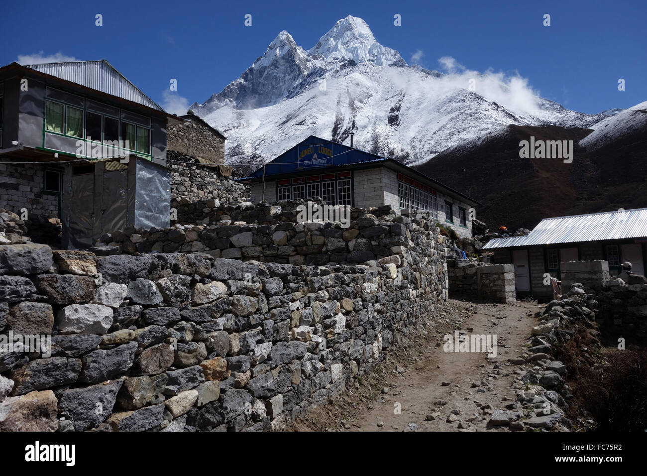 Foot of Mount Everest in Nepal Stock Photo - Alamy