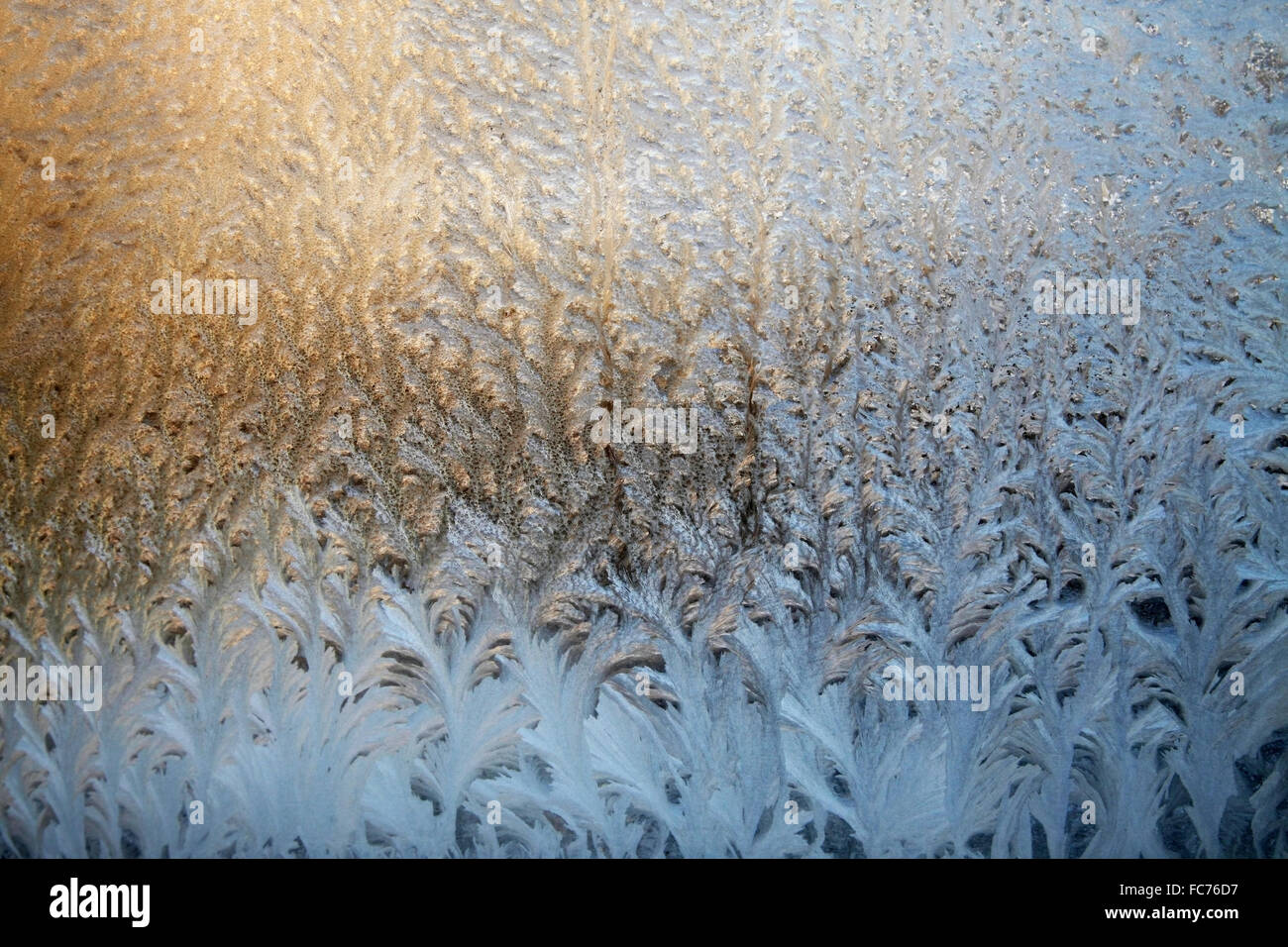 Frost on a window Stock Photo - Alamy