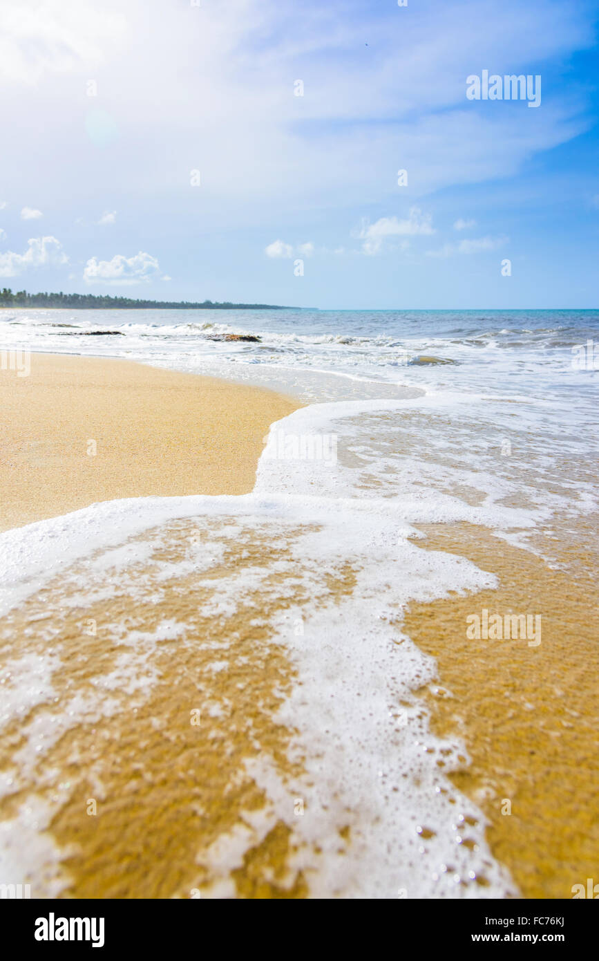 sandy sea beach Stock Photo - Alamy