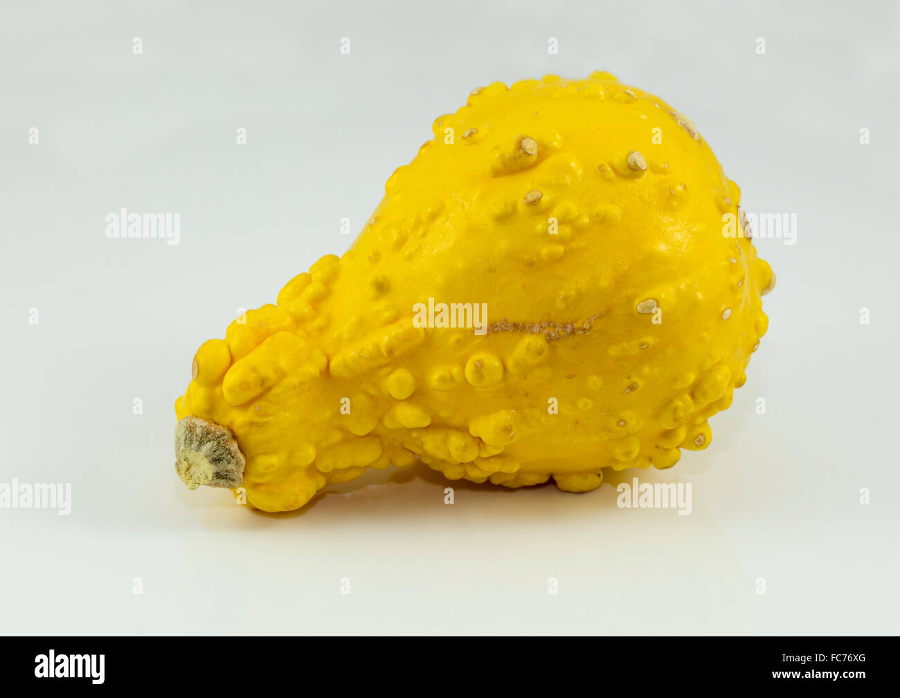 Bumpy squash hi-res stock photography and images - Alamy