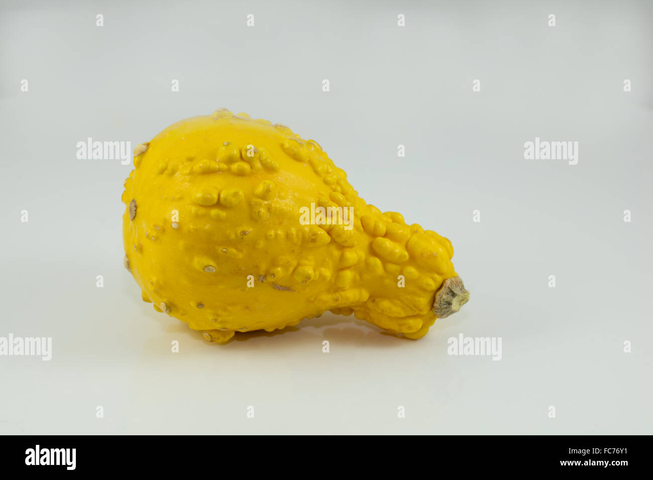 Yellow and bumpy gourd used for decor or cooking Stock Photo - Alamy