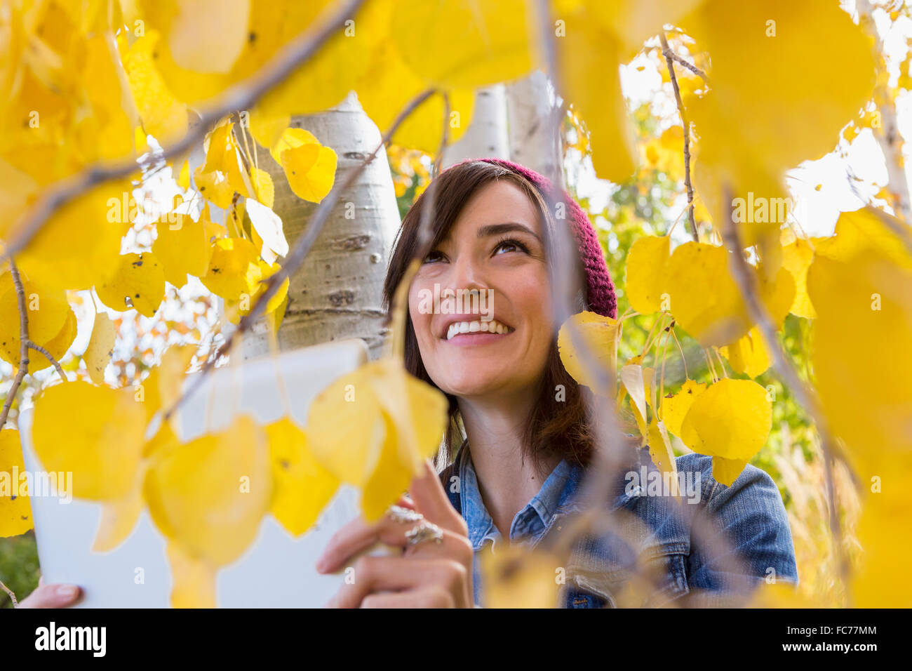 Hispanic woman writing in tree Stock Photo - Alamy