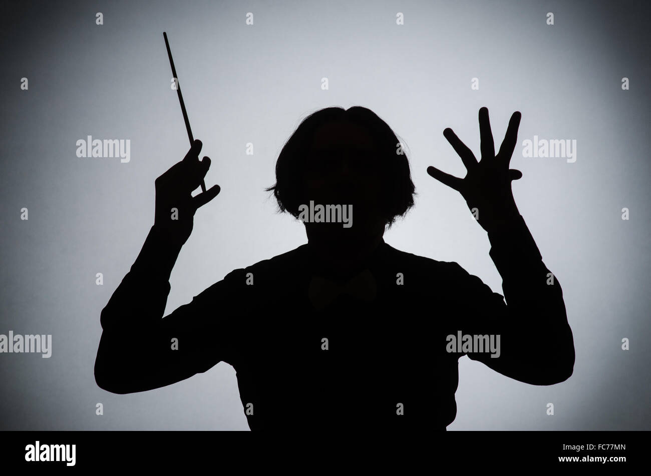Funny conductor in musical concept Stock Photo - Alamy