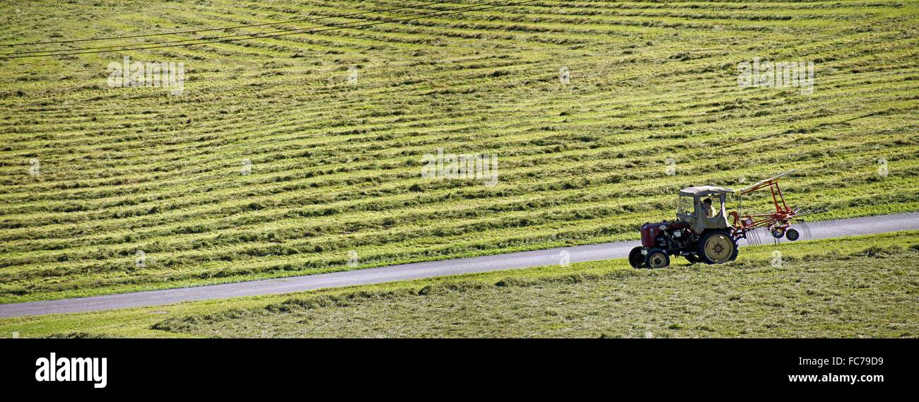 tractor with hay turning machine Stock Photo - Alamy