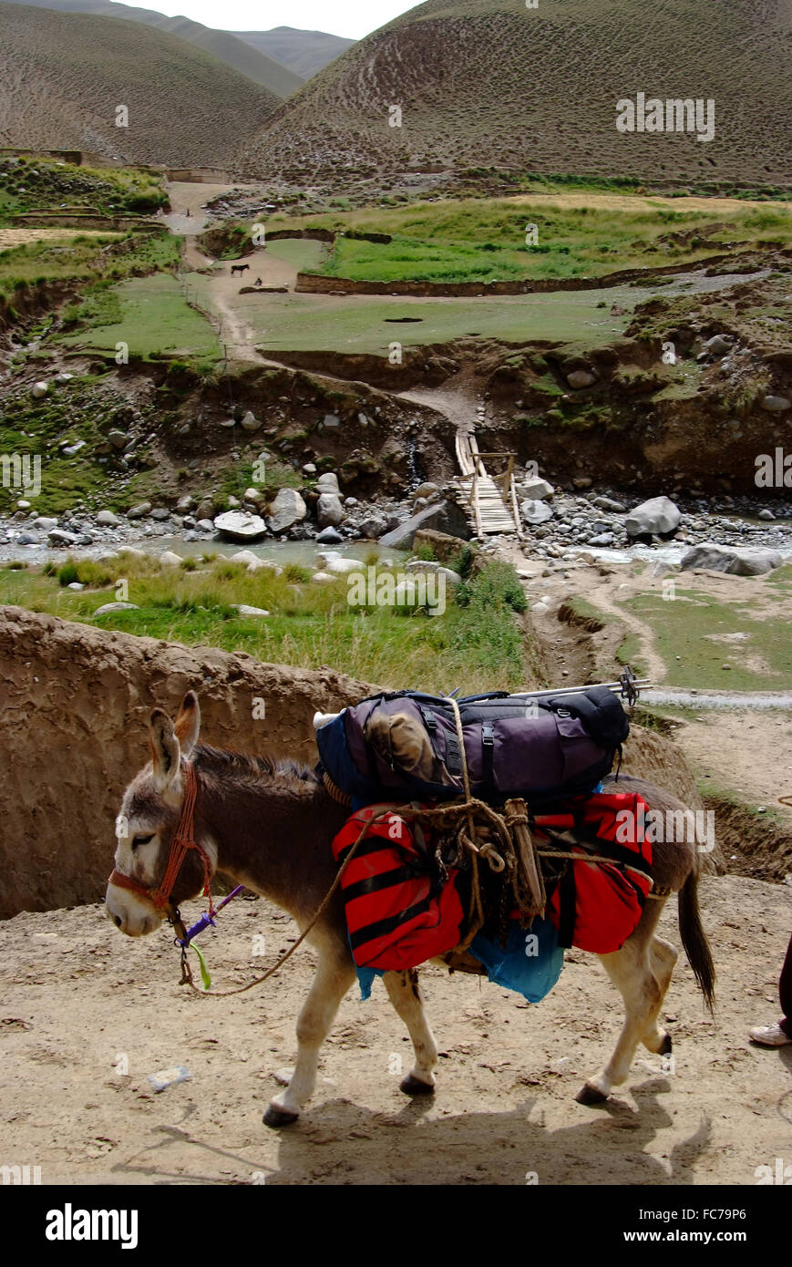 Aletai Xinjiang spring Stock Photo - Alamy