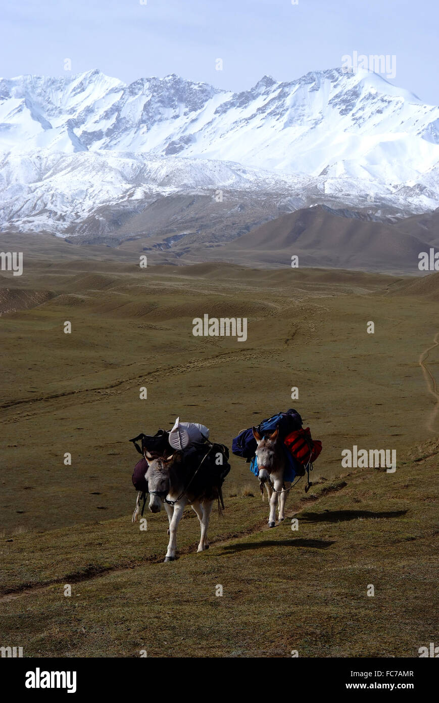 Aletai Xinjiang spring Stock Photo - Alamy