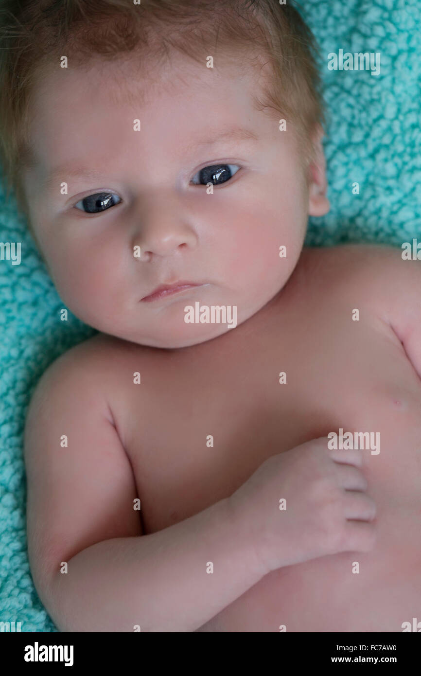 One Month Old Baby Boy Stock Photo Alamy one-month-old-baby-boy-stock-photo-alamy