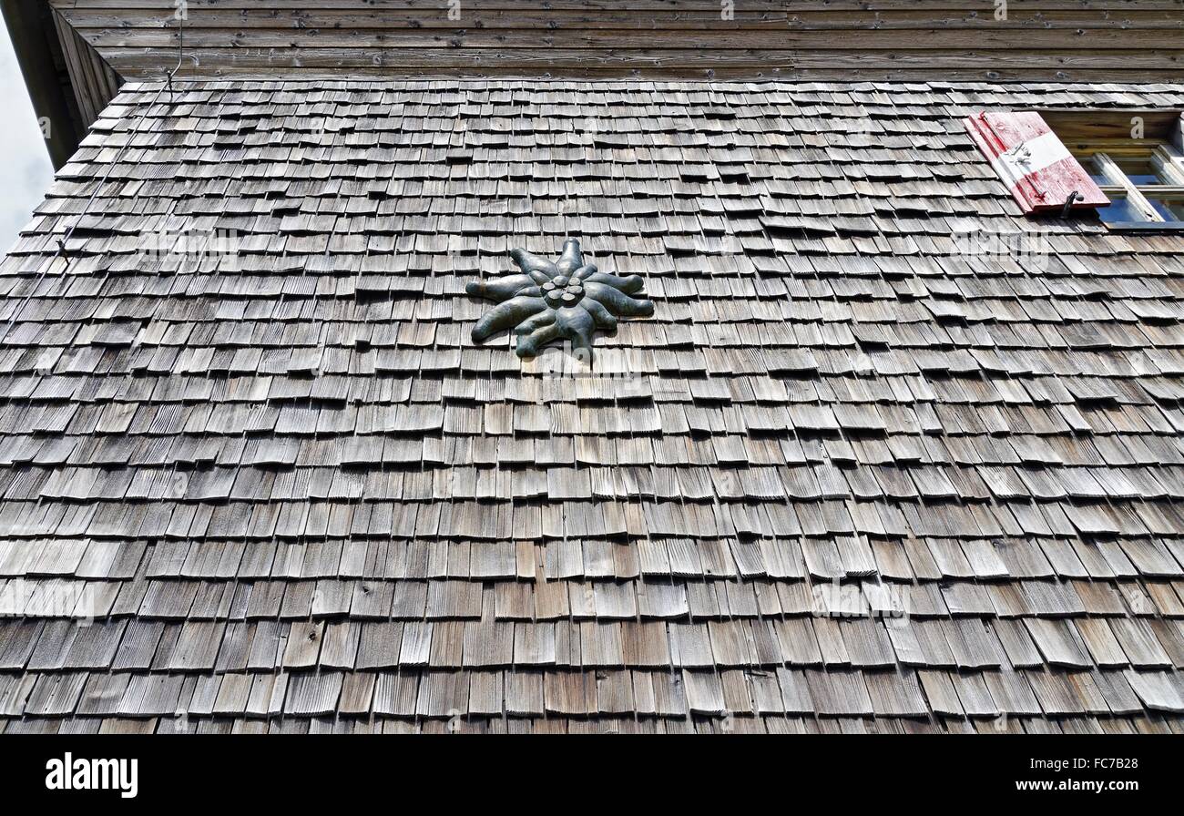Shingles hi-res stock photography and images - Alamy