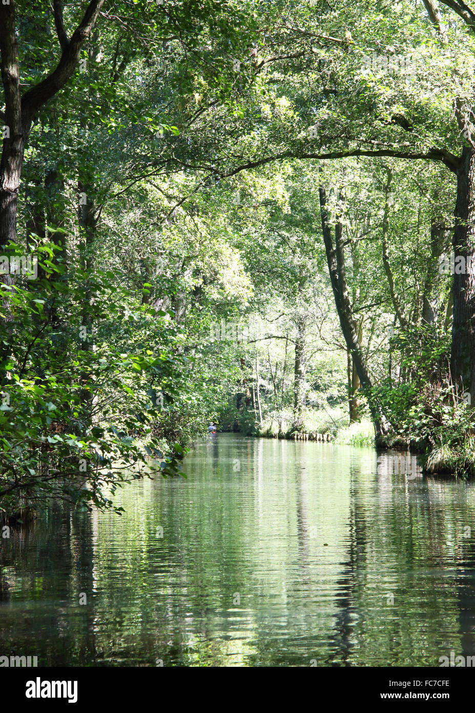 canal in a forest Stock Photo - Alamy